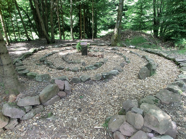 Labyrinth Lessons – Grow! – Sheli Dodson