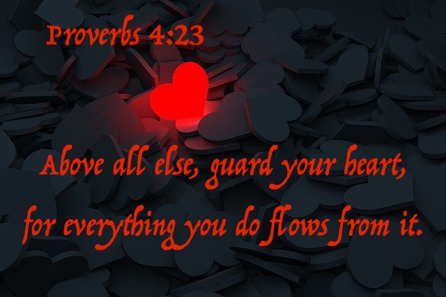 Faith Focus – Proverbs 4:23 – Sheli Dodson