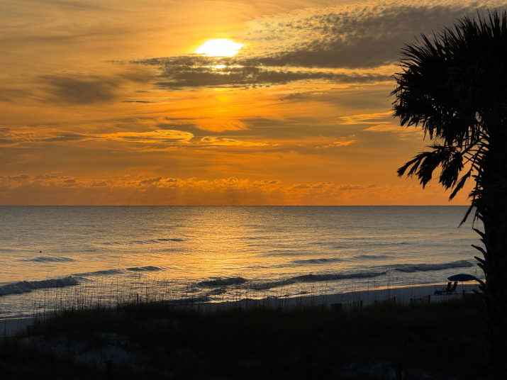 Travelogue: December 8, 2024 – December 14, 2024 – Sheli Dodson